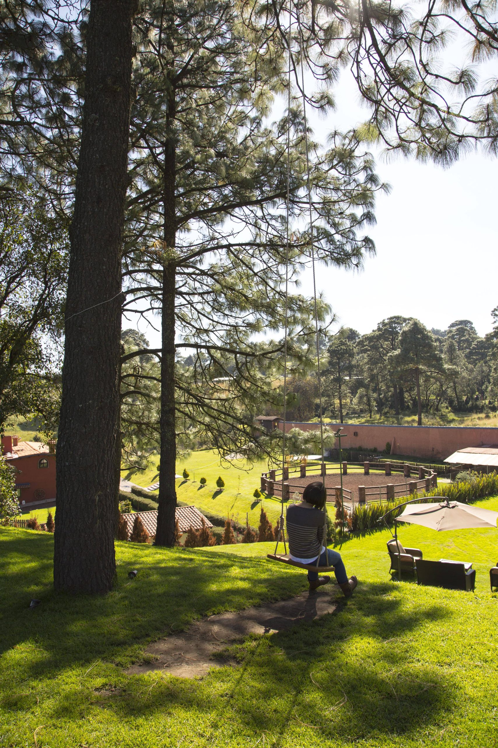 Parque Nacional Cumbres del Ajusco: la escapada ideal de los ...